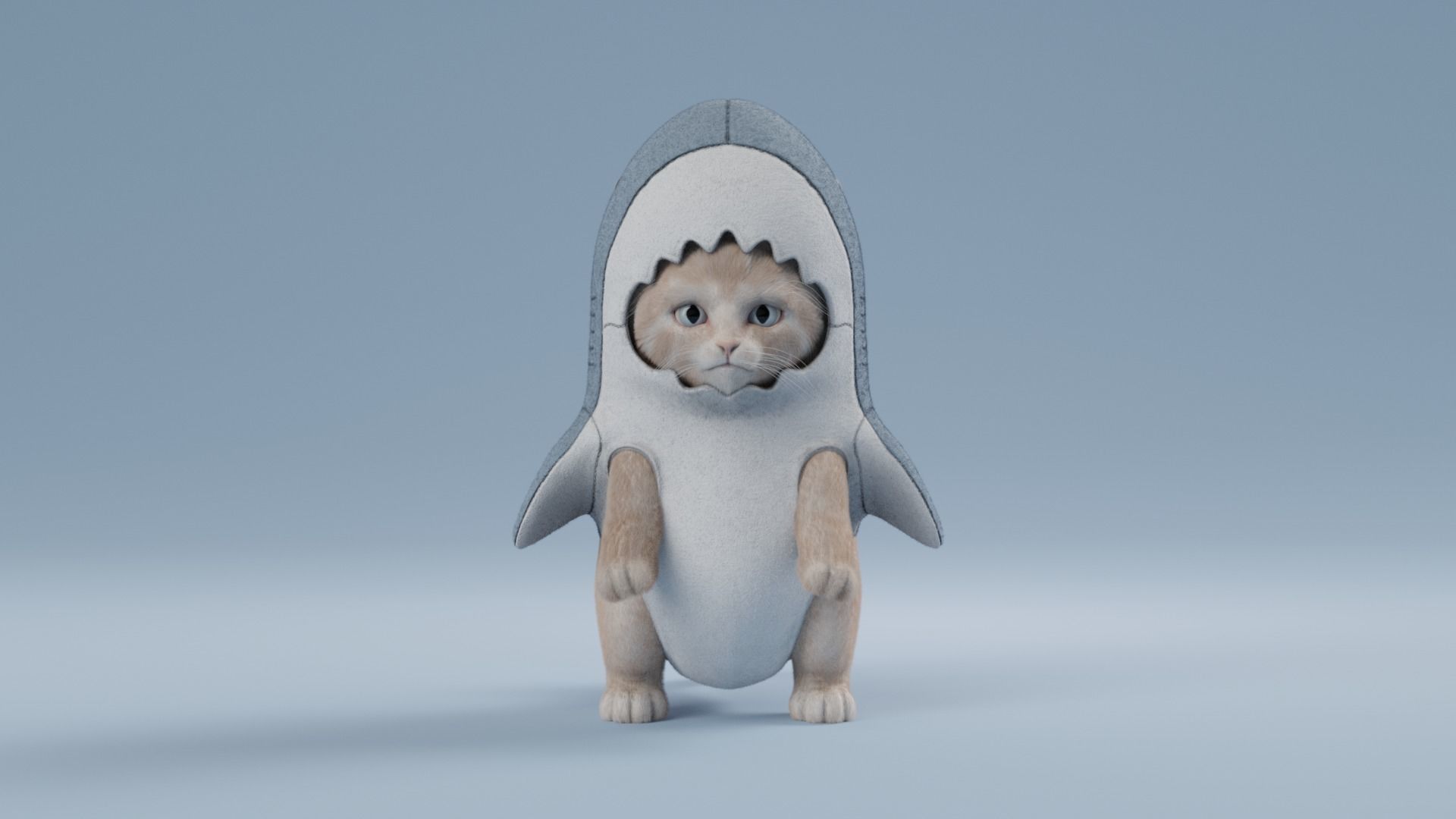 High Detailed Shark Cat Baby Costume 3D model rigged | CGTrader