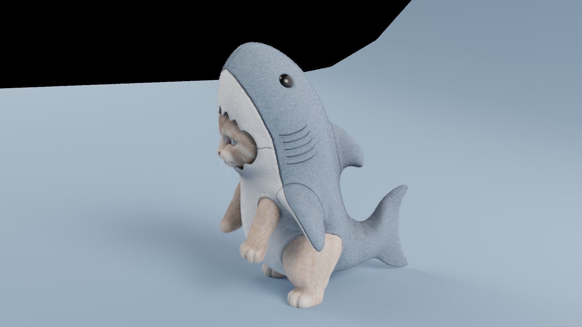 High Detailed Shark Cat Baby Costume 3D model rigged | CGTrader