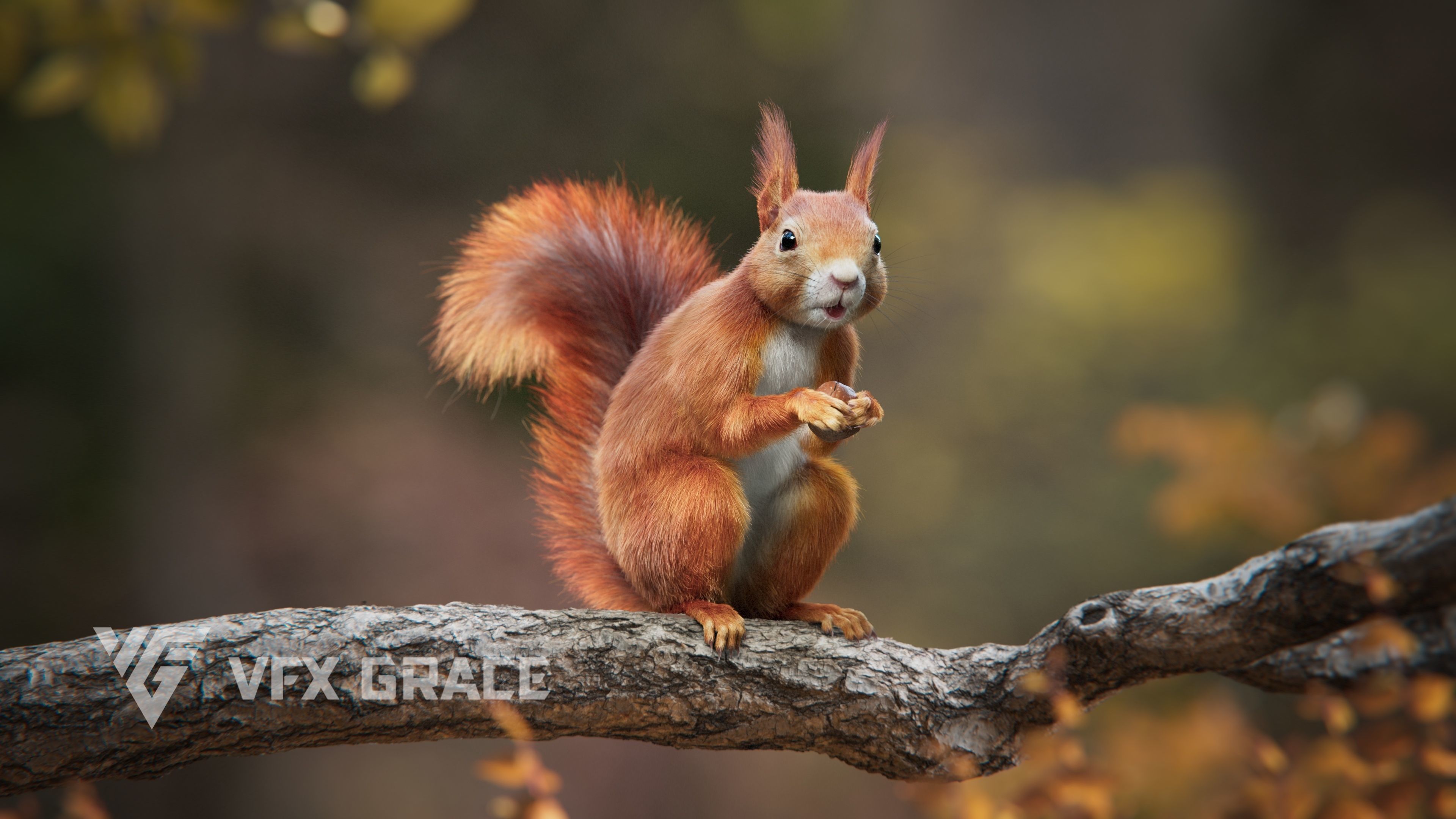 RedSquirrel Summer Animated VFX Grace 3D model animated rigged | CGTrader
