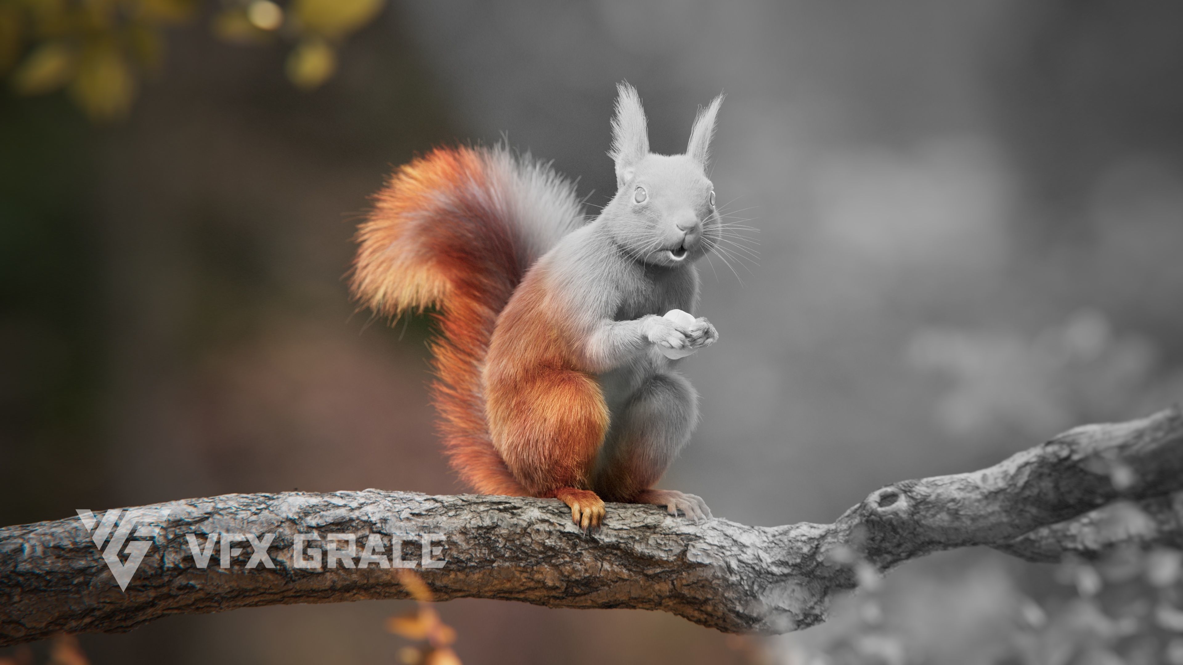 RedSquirrel Summer Animated VFX Grace 3D model animated rigged | CGTrader