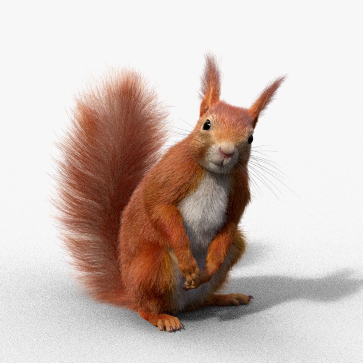 RedSquirrel Summer Animated VFX Grace 3D model animated rigged | CGTrader