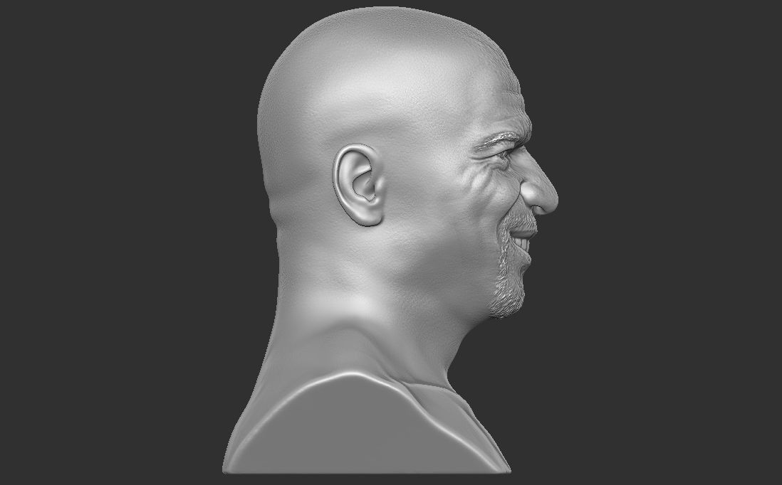 Terry Crews bust for 3D printing 3D model 3D printable | CGTrader