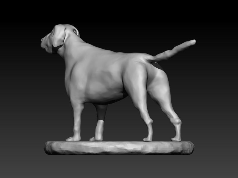 labrador 3D model 3D printable | CGTrader