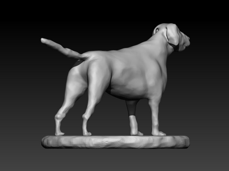 labrador 3D model 3D printable | CGTrader