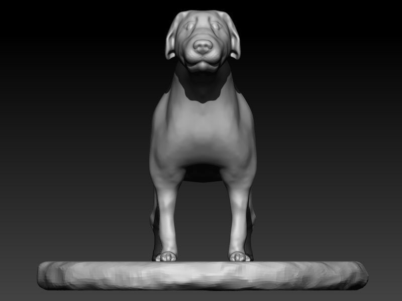 labrador 3D model 3D printable | CGTrader