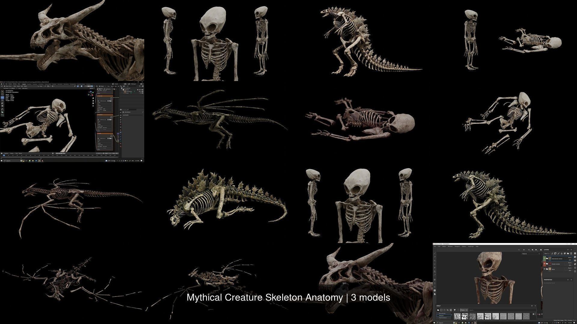 3D Model Collection Mythical Creature Skeleton Anatomy VR / AR / low ...