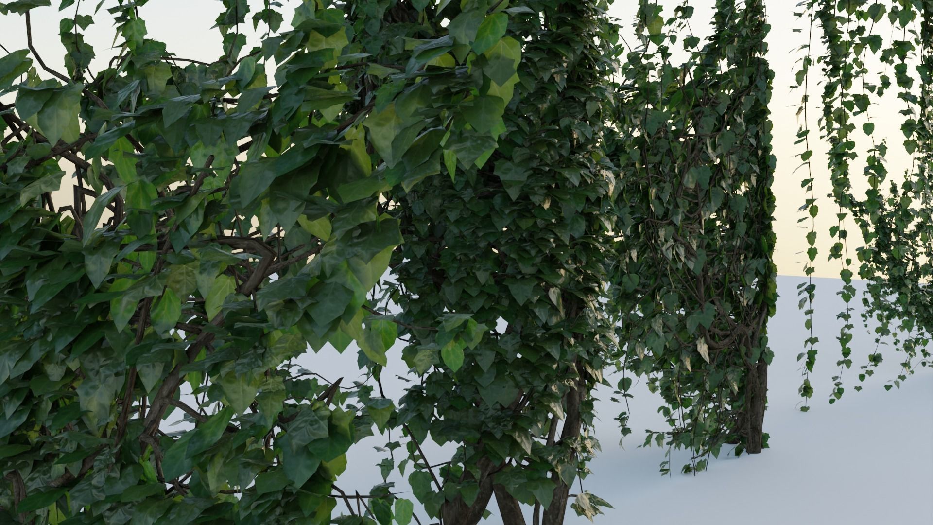 5 ivy 3D model | CGTrader