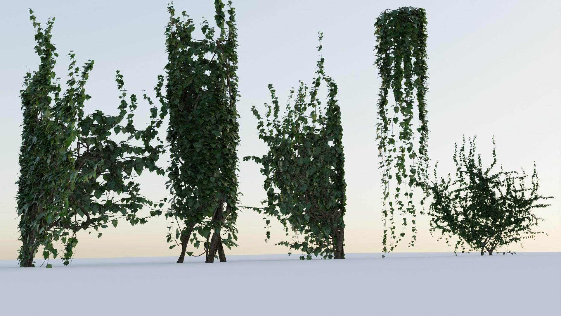 5 ivy 3D model | CGTrader
