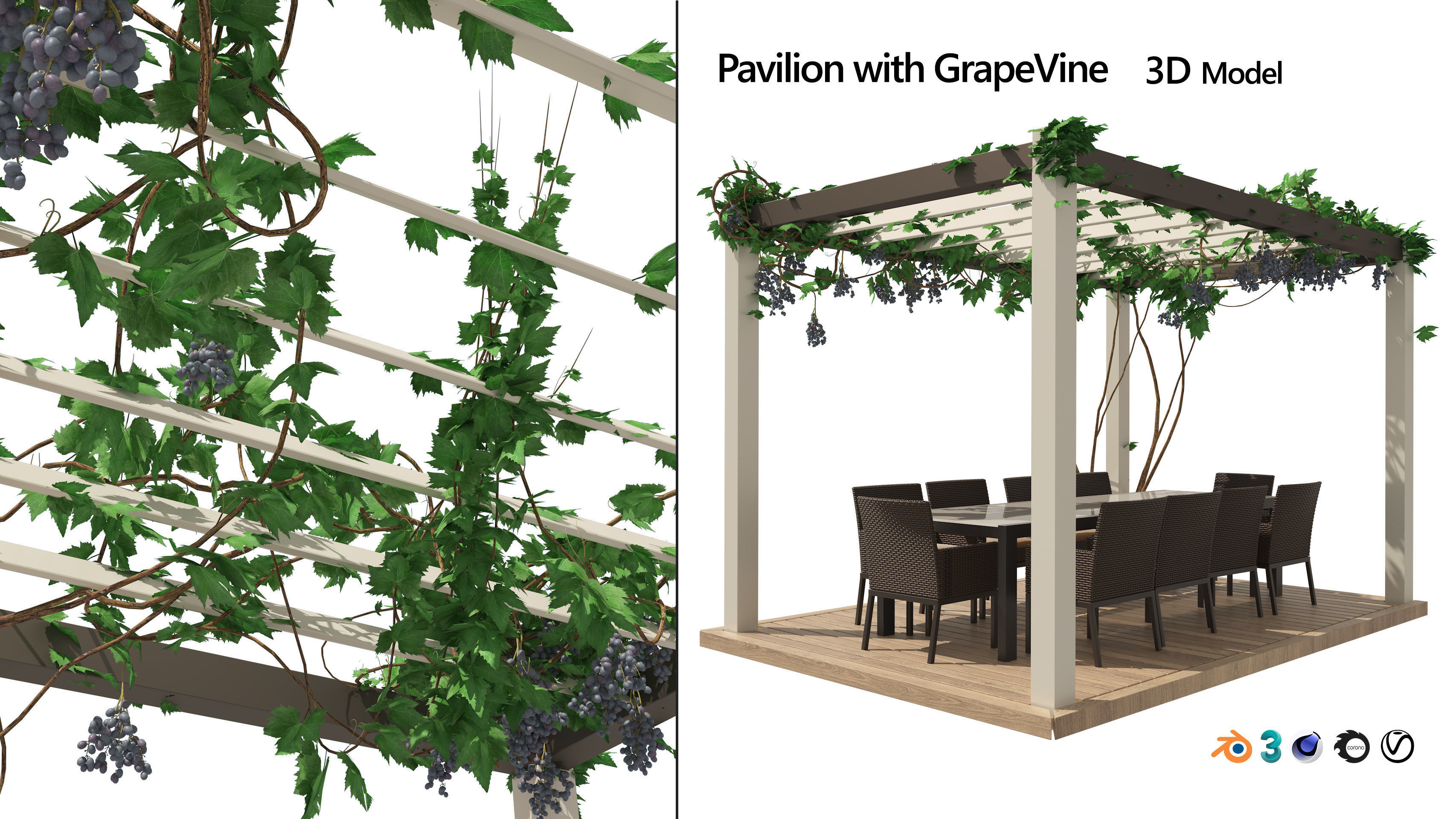 Modern pergola with climber grapevine 3d model 3D model | CGTrader