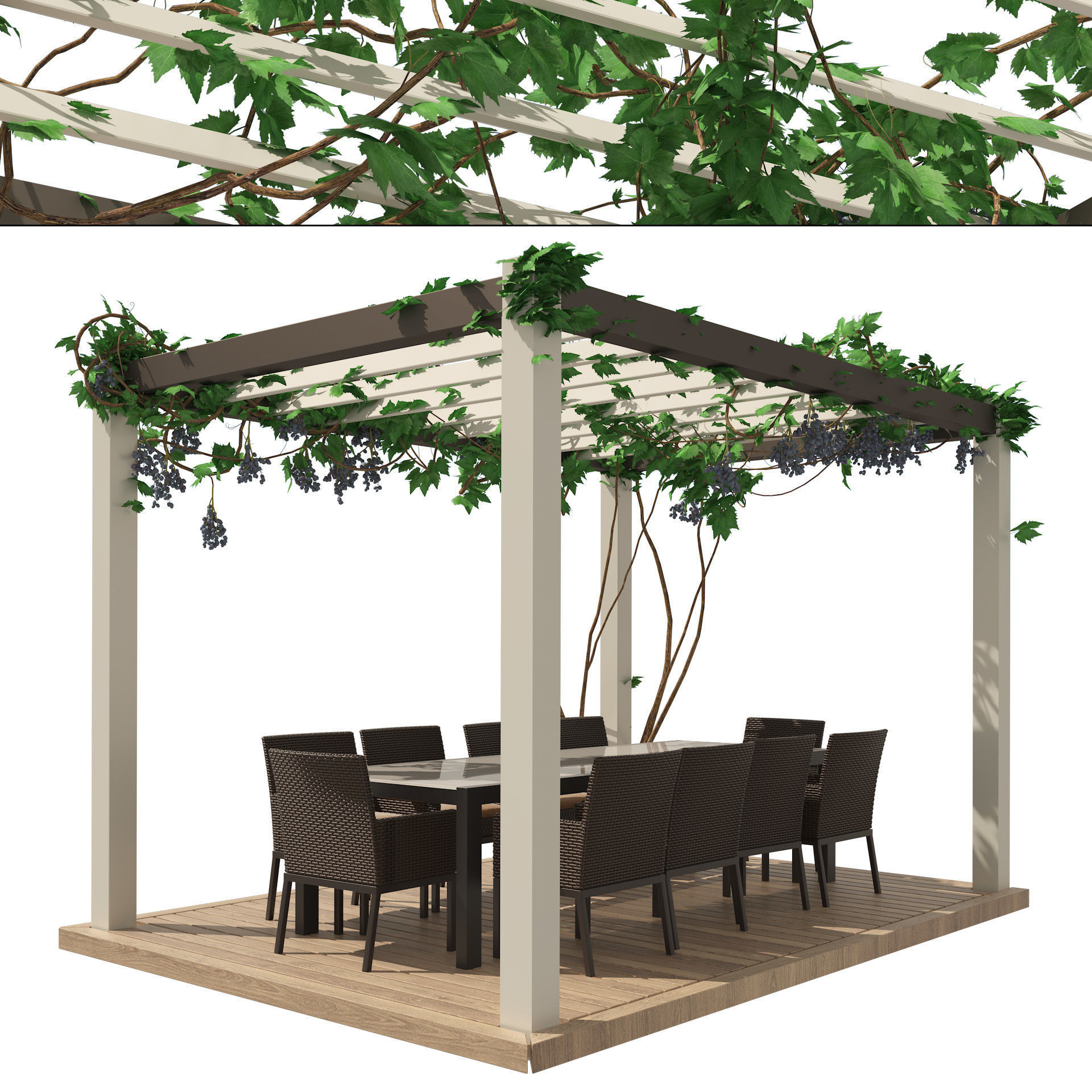 Modern pergola with climber grapevine 3d model 3D model | CGTrader