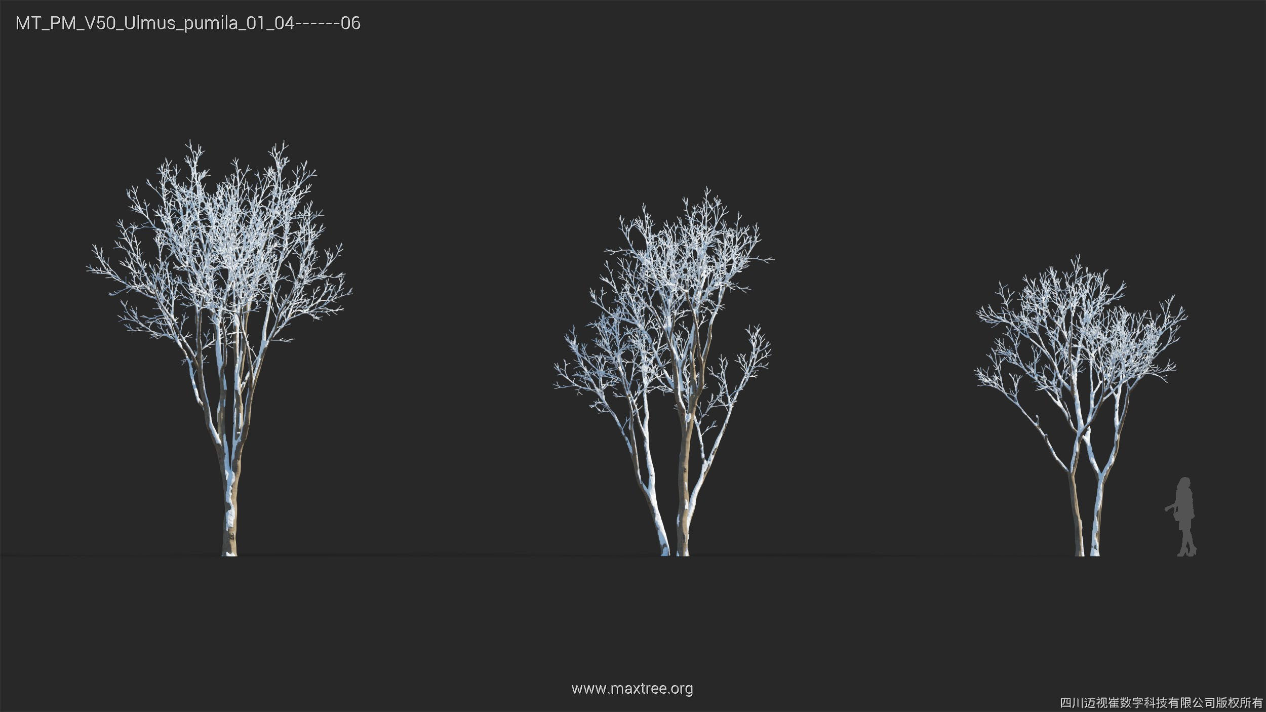 Maxtree Plant Models Vol 50 - Mesh 3D model | CGTrader