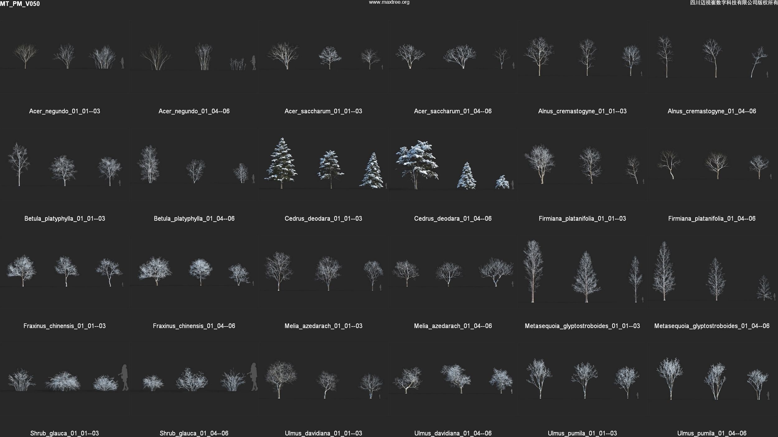 Maxtree Plant Models Vol 50 - Mesh 3D model | CGTrader