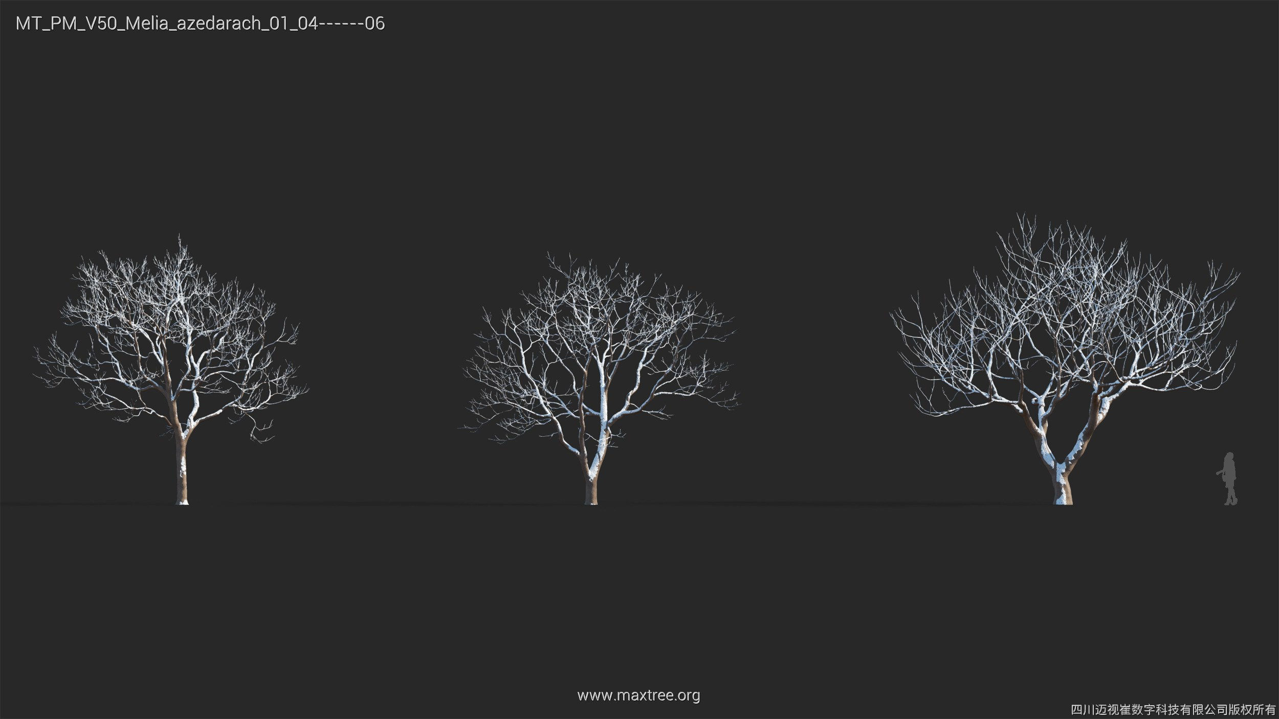 Maxtree Plant Models Vol 50 - Mesh 3D model | CGTrader