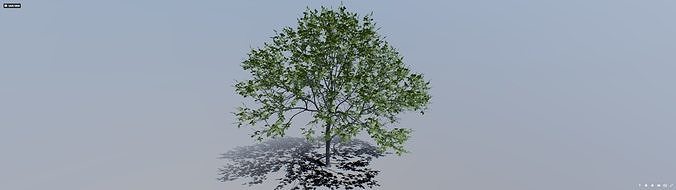 Tree 001 free 3D model | CGTrader