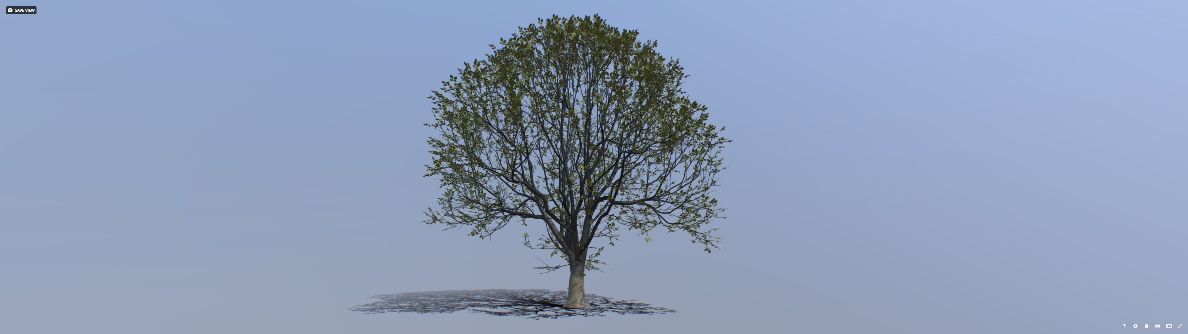 Tree 002 free 3D model | CGTrader