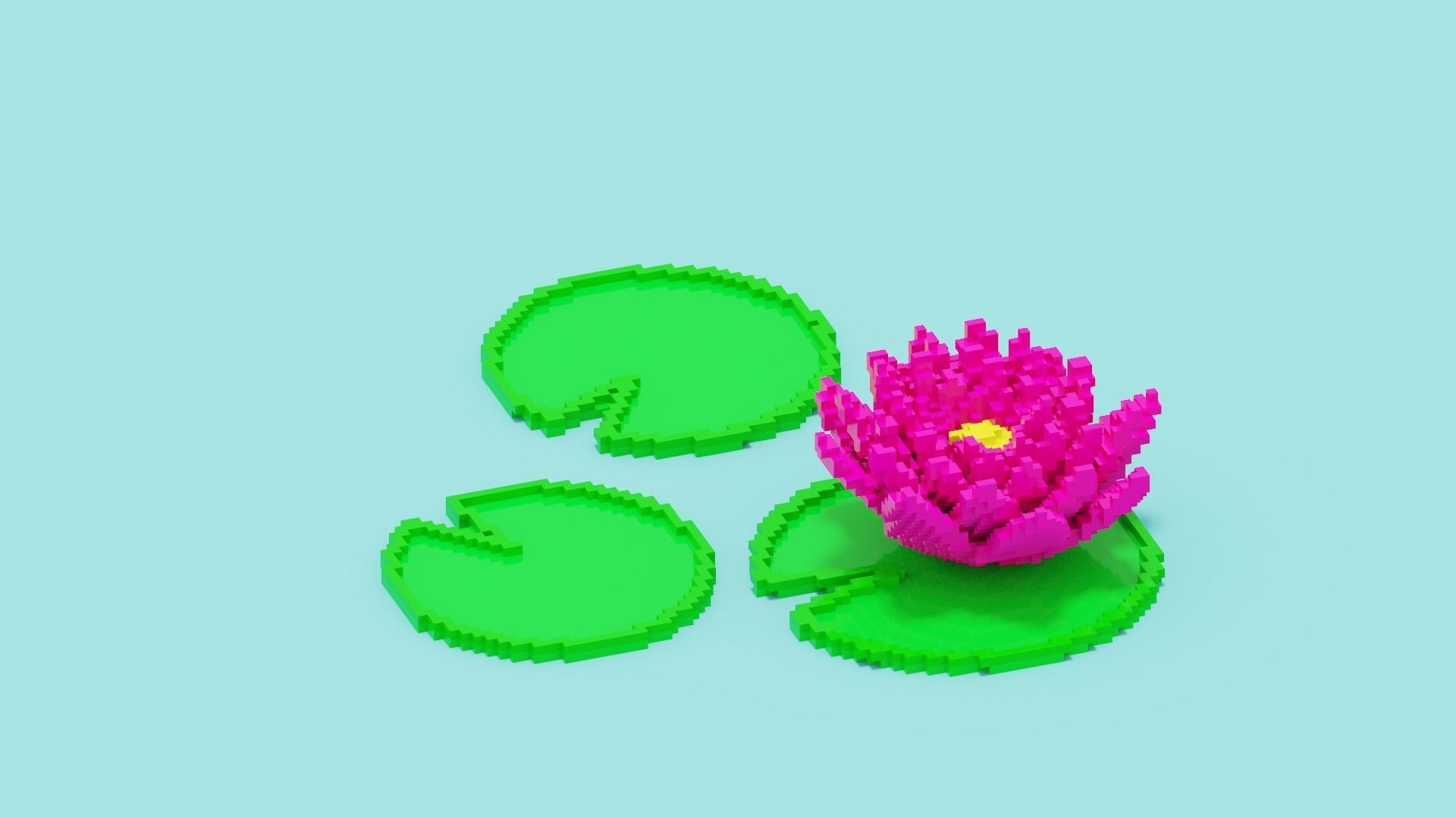 3D model Voxel Lotus VR / AR / low-poly | CGTrader
