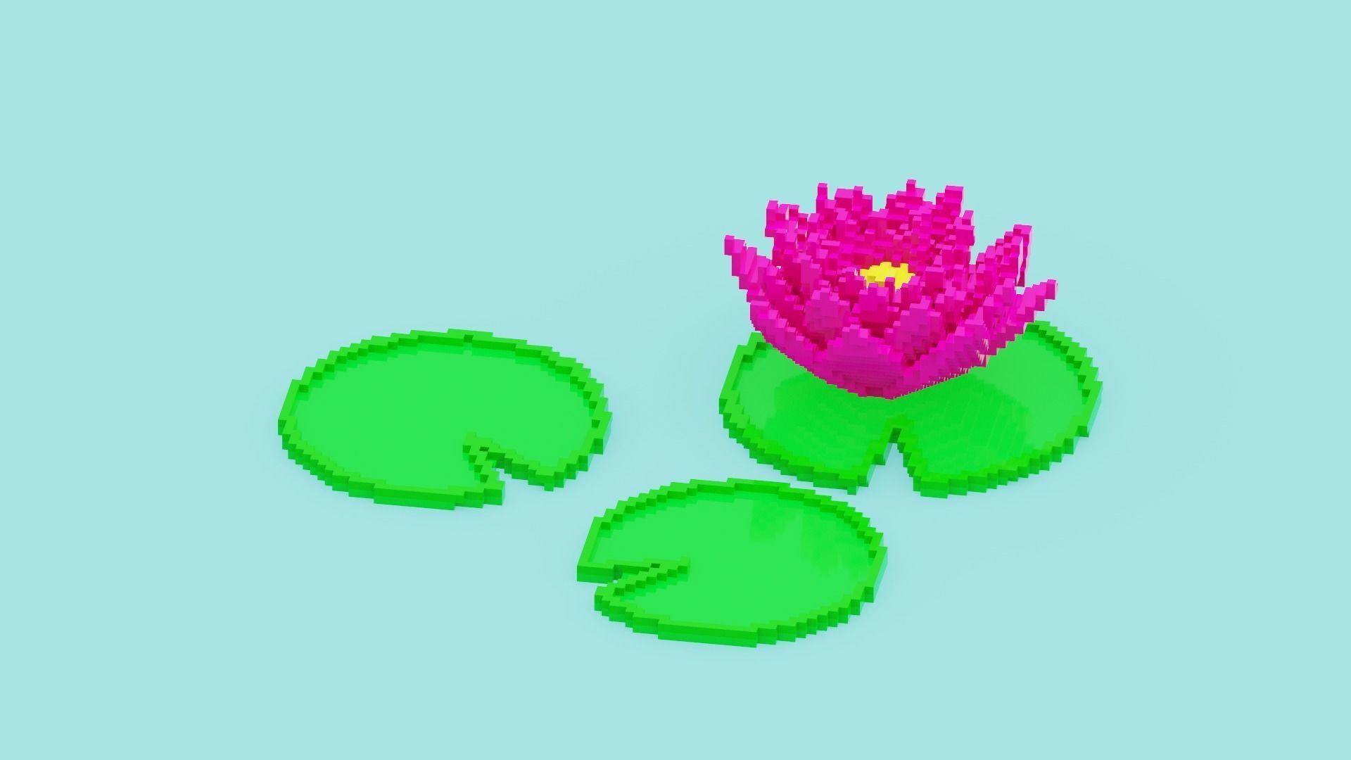 3D model Voxel Lotus VR / AR / low-poly | CGTrader