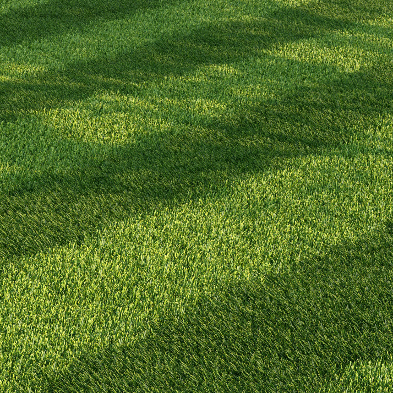 Mowed Lawn 3D model | CGTrader