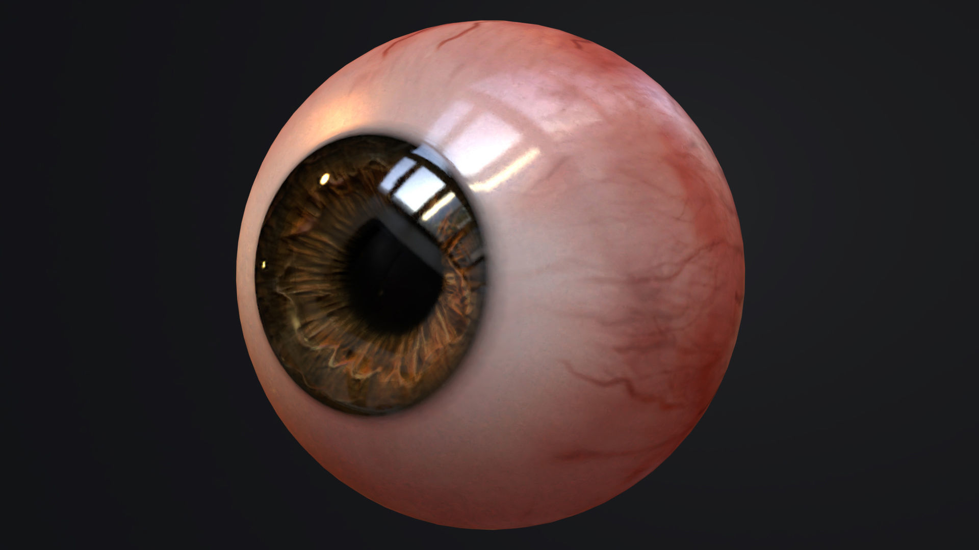 3D model Photorealistic human eye VR / AR / low-poly | CGTrader