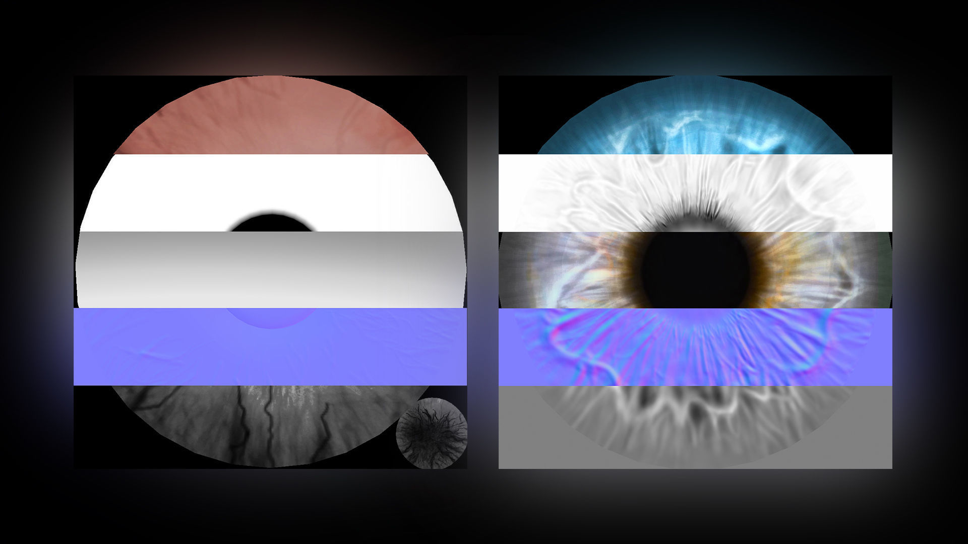 3D model Photorealistic human eye VR / AR / low-poly | CGTrader