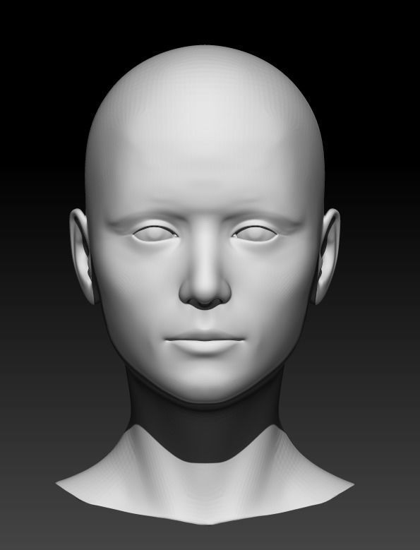 Female head base mesh 1 3D model | CGTrader