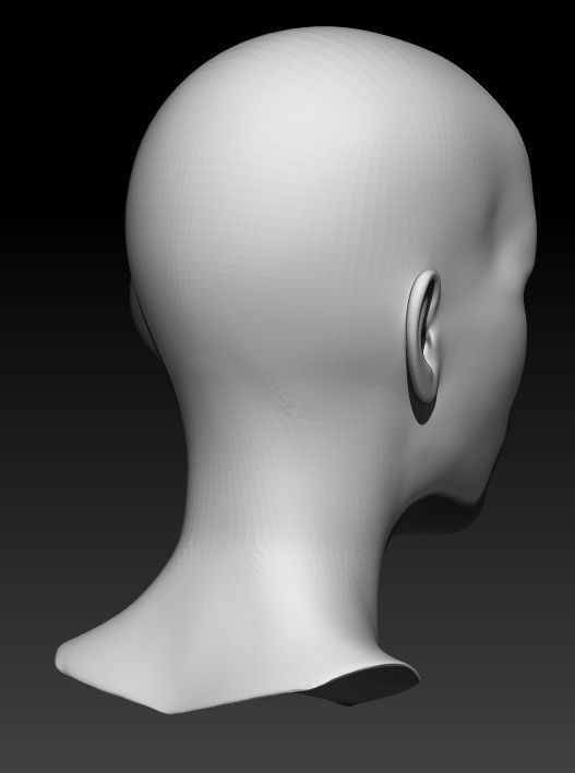 Female head base mesh 4 3D model | CGTrader
