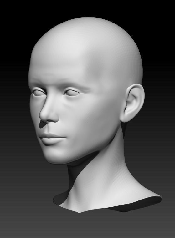 Female head base mesh 4 3D model | CGTrader