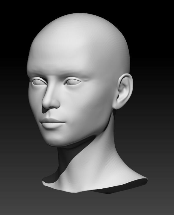 Female head base mesh 7 3D model | CGTrader