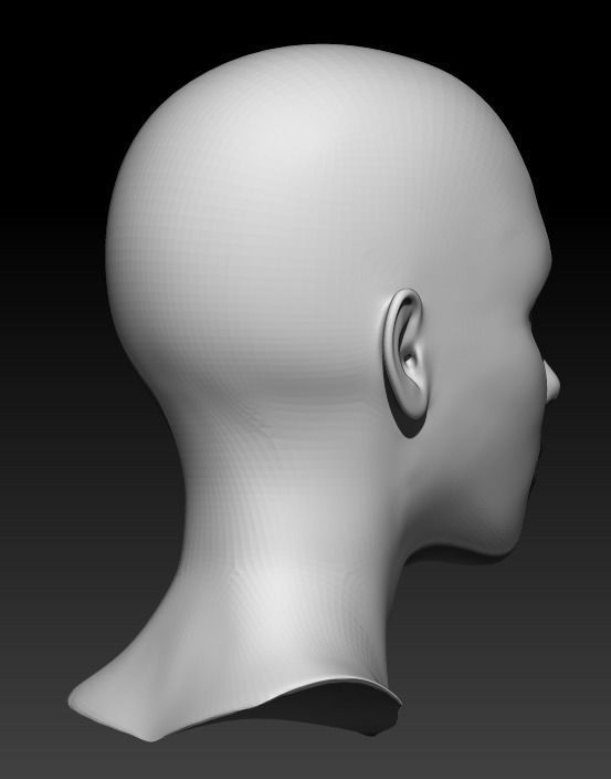 Female head base mesh 8 3D model | CGTrader