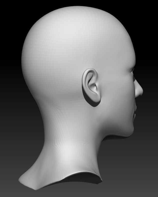 Female head base mesh 10 3D model | CGTrader