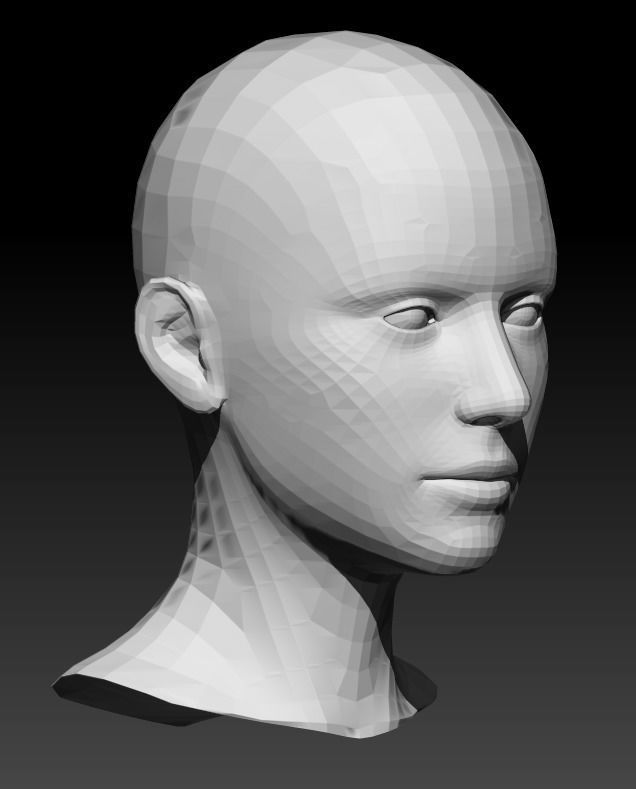 Female head base mesh 11 3D model | CGTrader