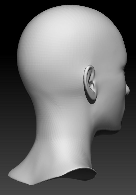 Female head base mesh 12 3D model | CGTrader