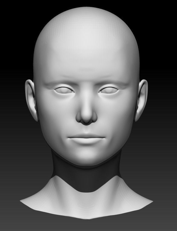 Female head base mesh 12 3D model | CGTrader