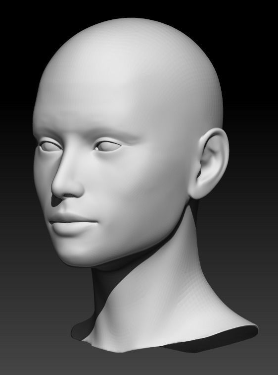 Female head base mesh 13 3D model | CGTrader
