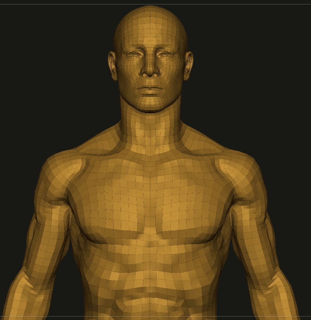 Male anatomy study 3D model 3D printable | CGTrader