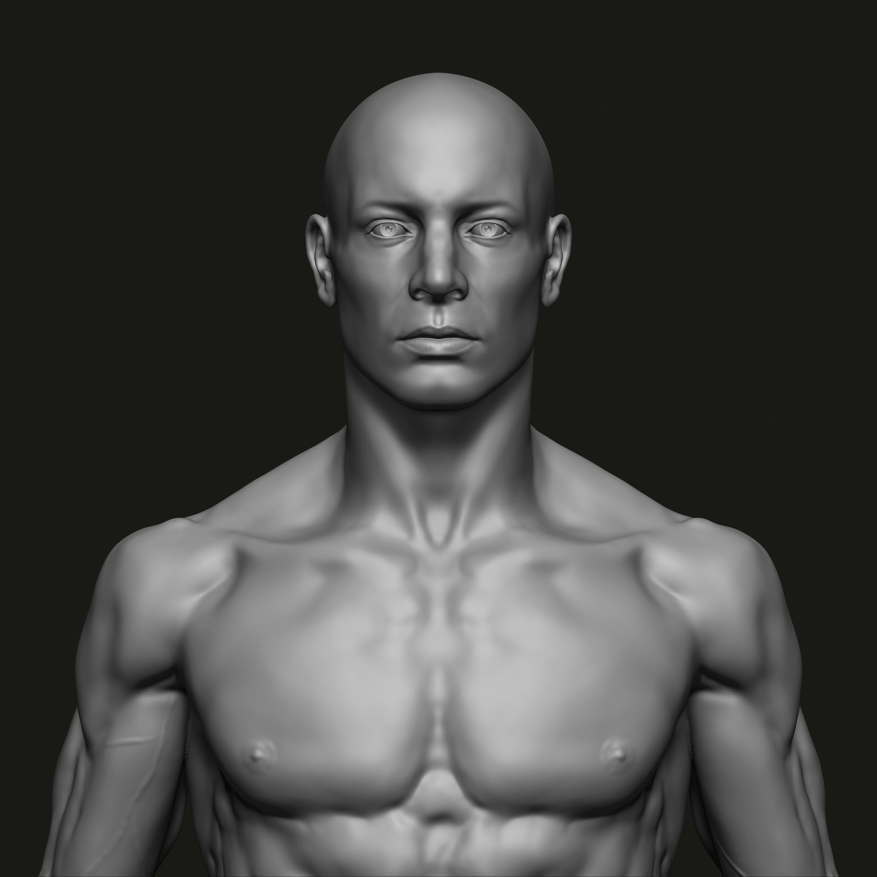 Male anatomy study 3D model 3D printable | CGTrader