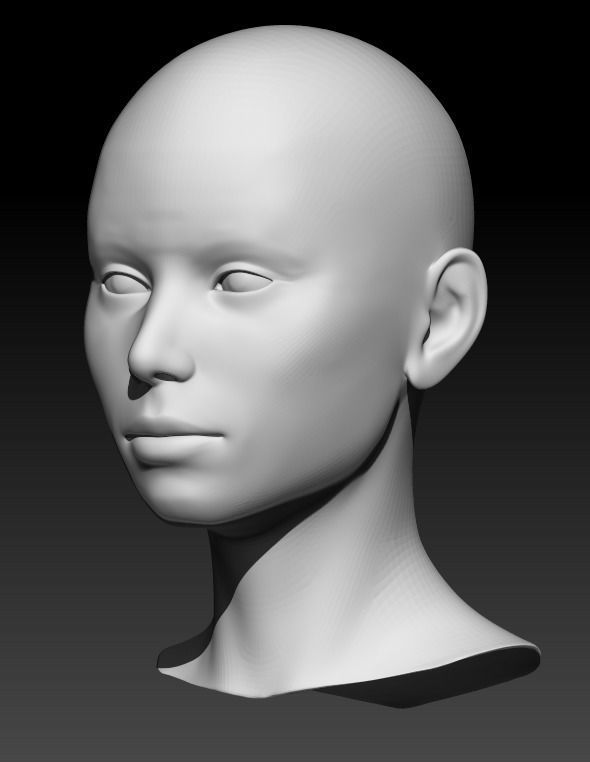 Female head base mesh 14 3D model | CGTrader
