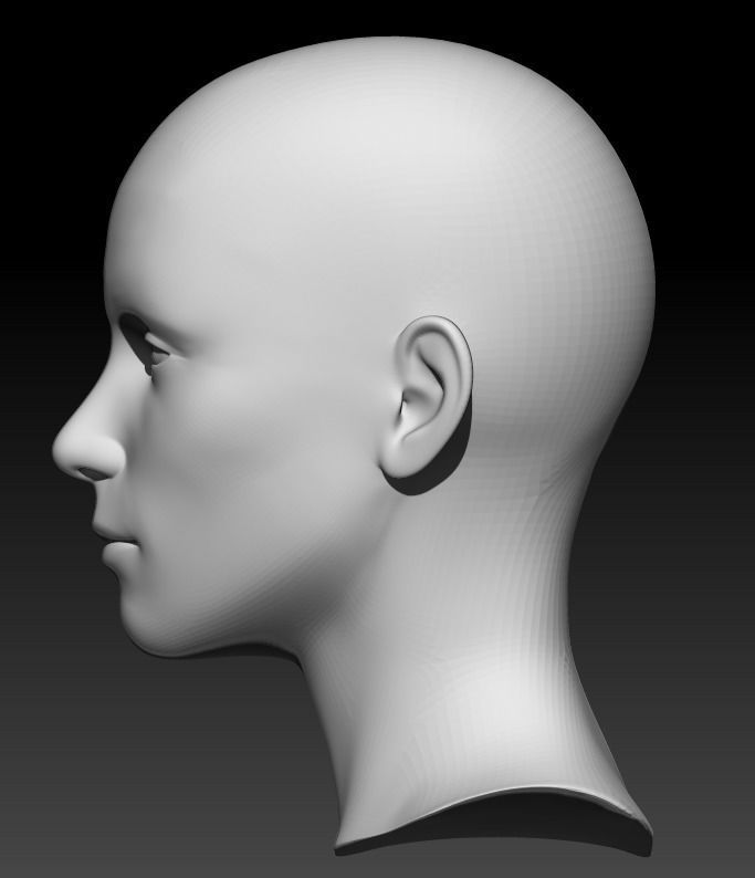 Female head base mesh 16 3D model | CGTrader