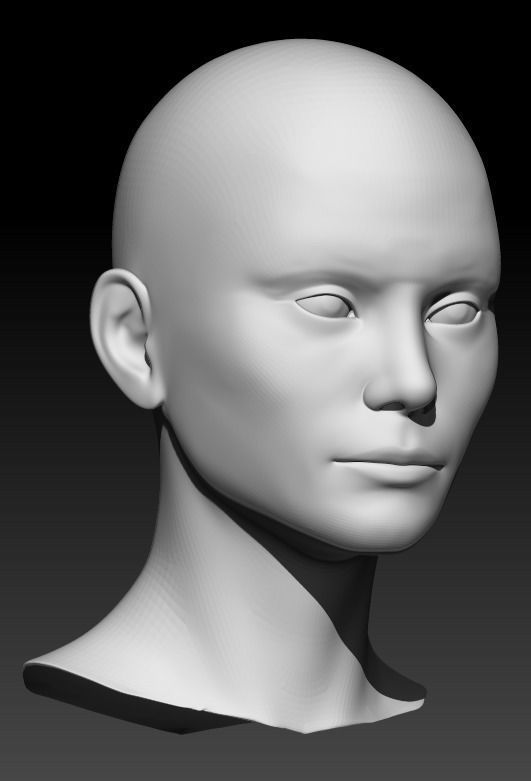 Female head base mesh 18 3D model | CGTrader
