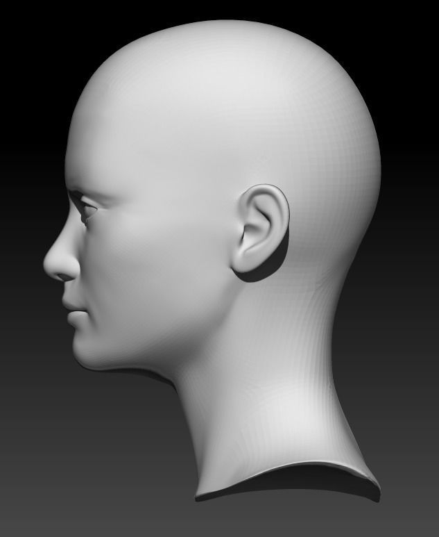 Female head base mesh 19 3D model | CGTrader
