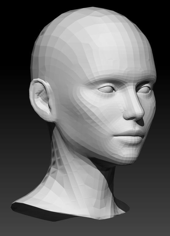 Female head base mesh 24 3D model | CGTrader