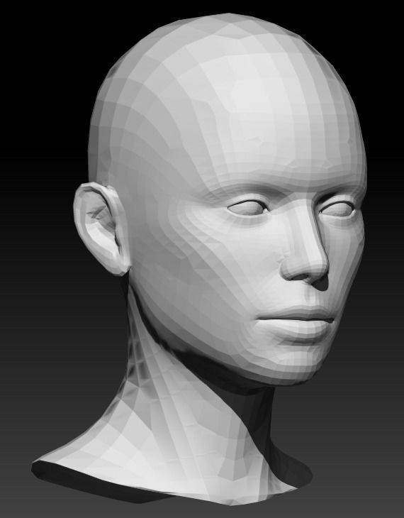 Female Head Base Mesh 25 3d Model Cgtrader