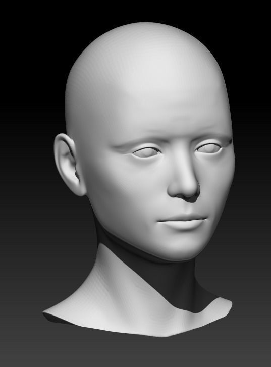 Female head base mesh 3D Model Collection | CGTrader