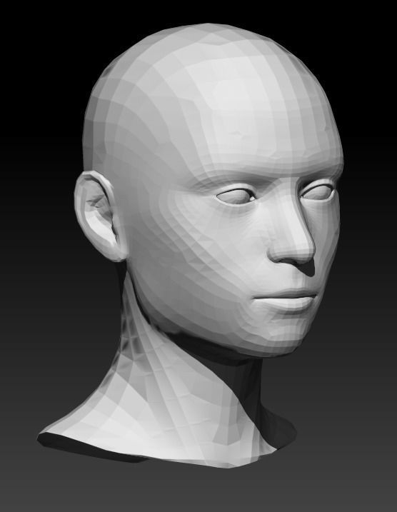 Female head base mesh 3D Model Collection | CGTrader
