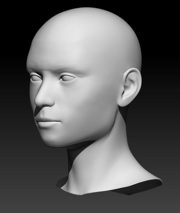 Female head base mesh 3D Model Collection | CGTrader