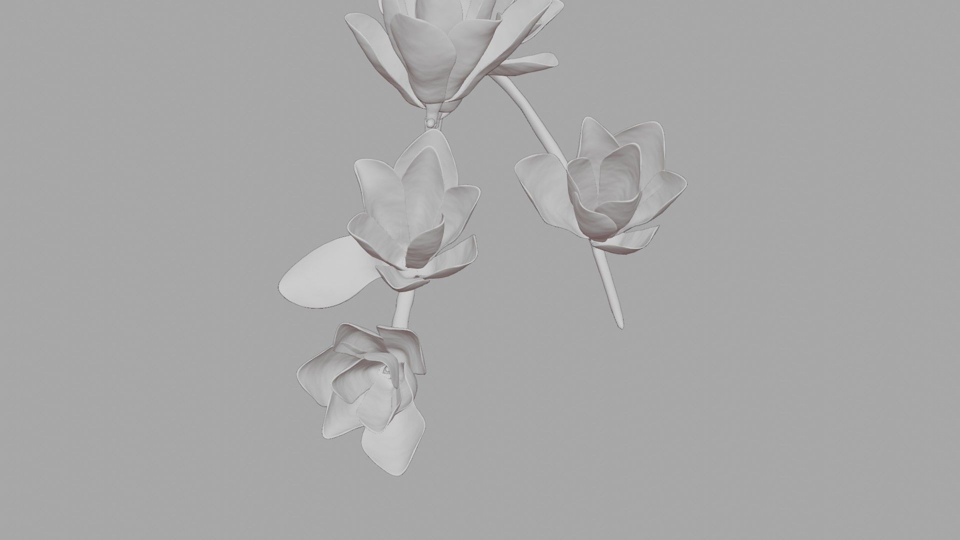 3D model Magnolia 3D Model Low Poly VR / AR / low-poly | CGTrader