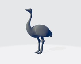 Ostrich 3D Models | CGTrader