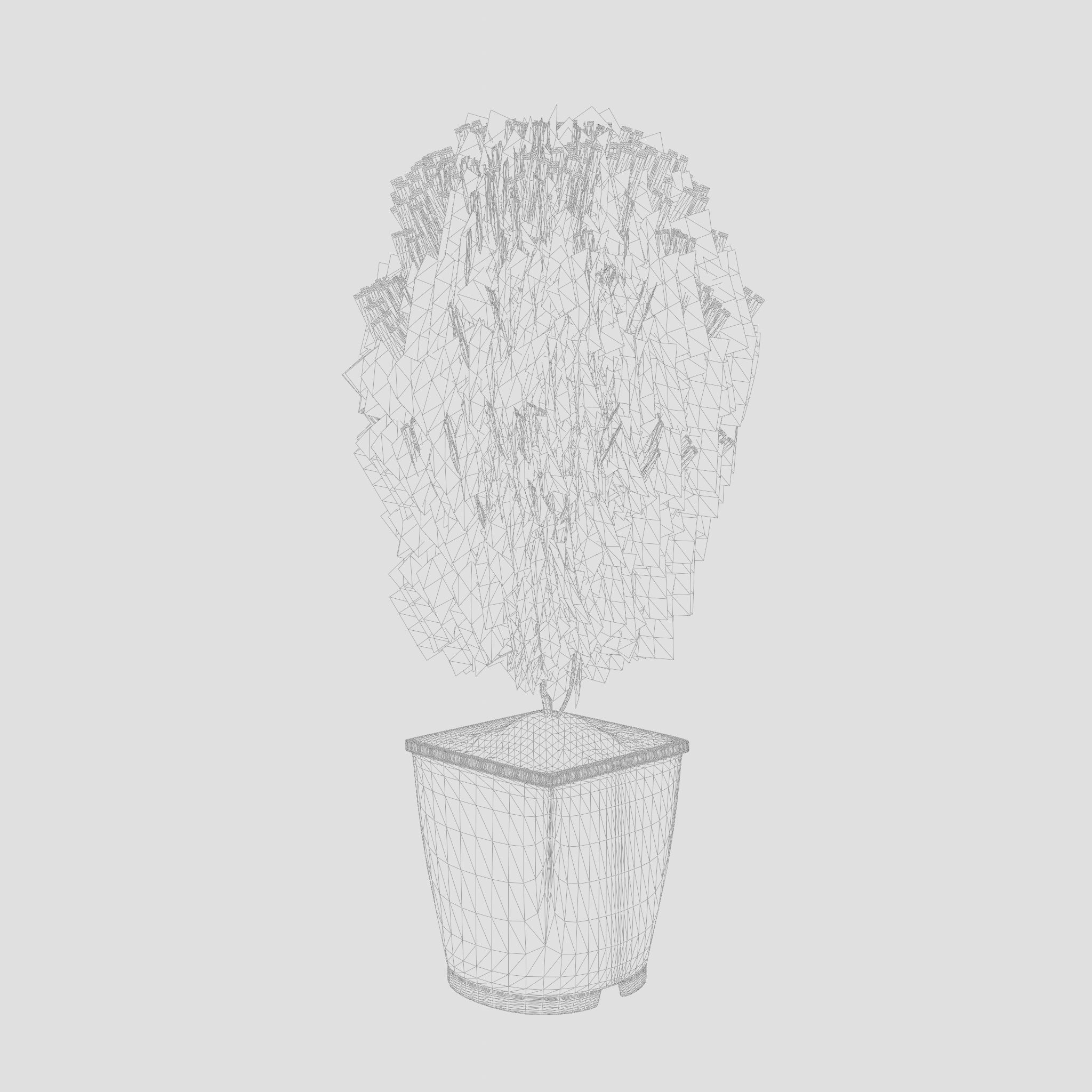 3D model Little Giant American Arborvitae 3D Model VR / AR / low-poly ...