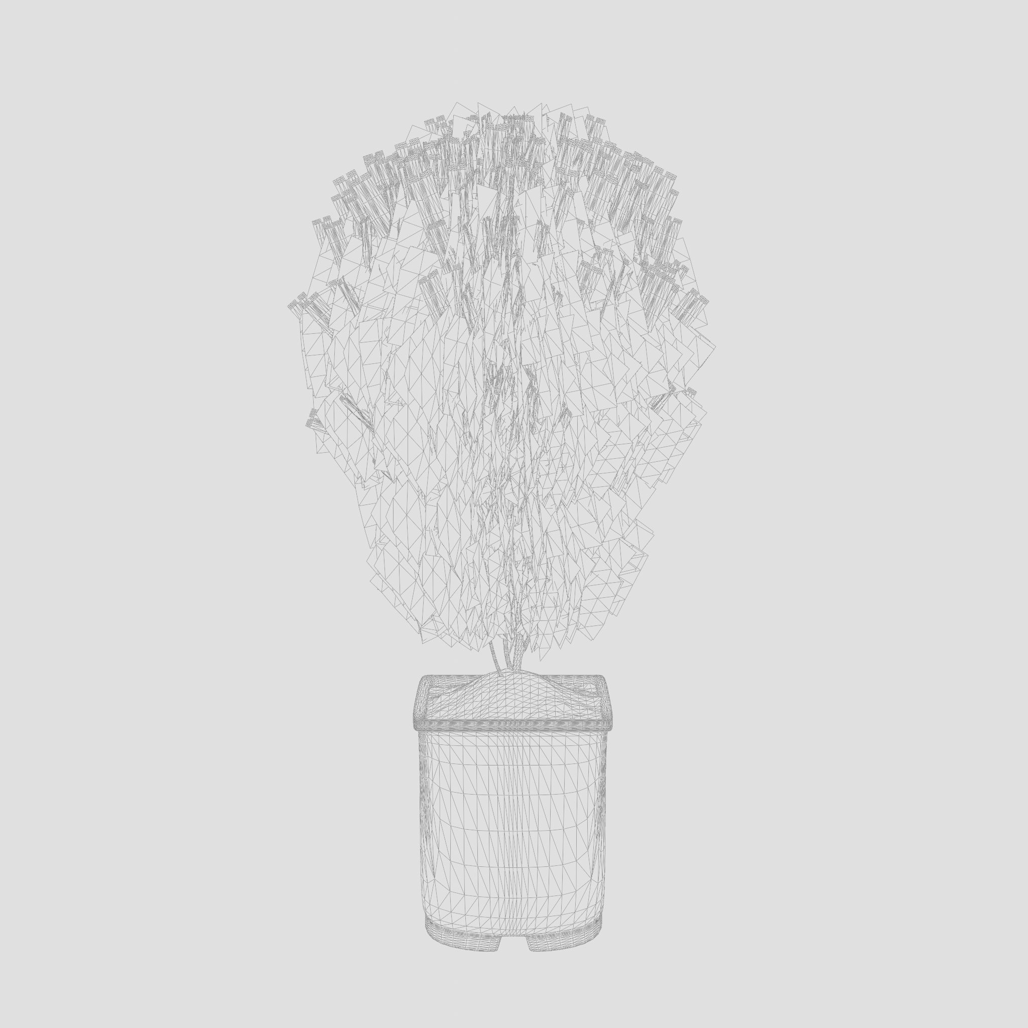 3D model Little Giant American Arborvitae 3D Model VR / AR / low-poly ...