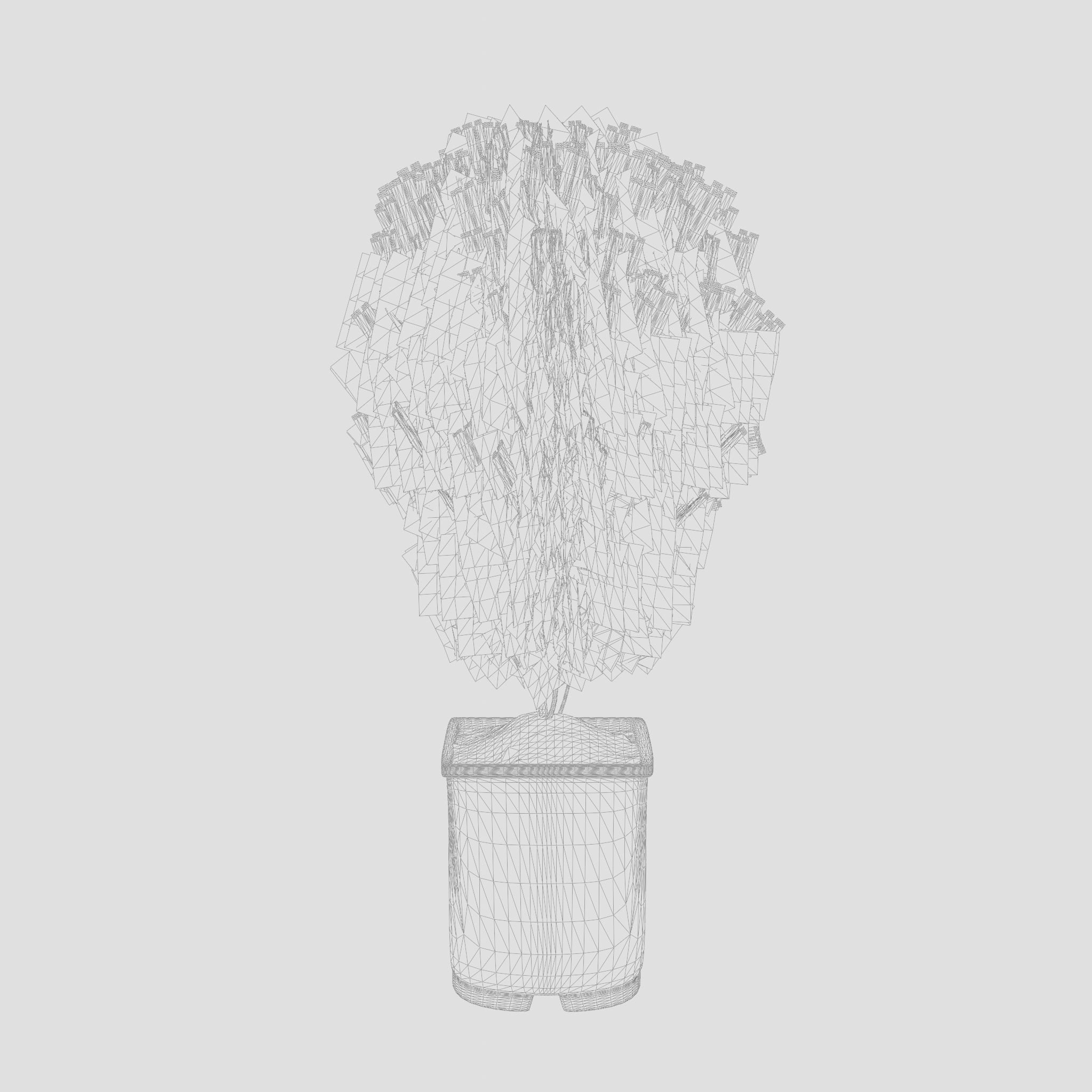 3D model Little Giant American Arborvitae 3D Model VR / AR / low-poly ...